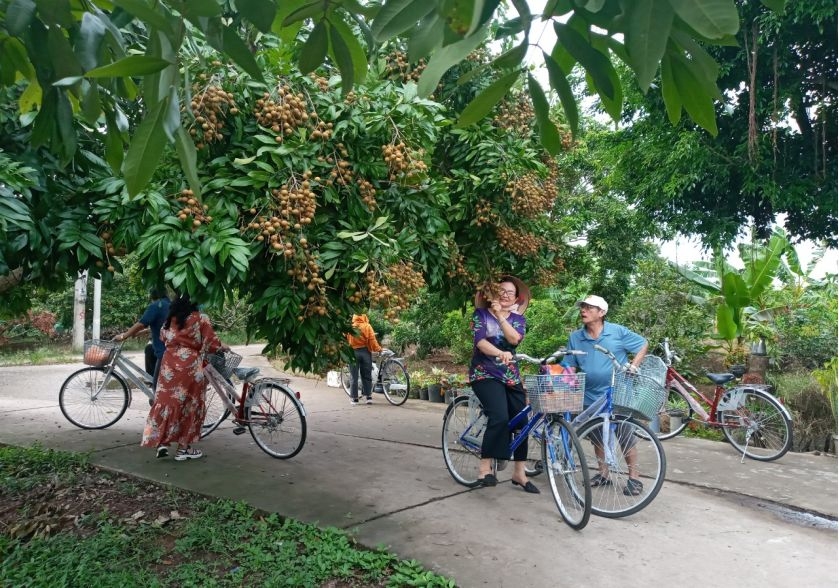 Tour Sóc Trăng 2 ngày 1 đêm | Du lịch cùng Thế Kỷ Việt
